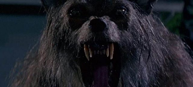 Lobisomens! Preparados? Os 31 melhores filmes. | Sintoniza